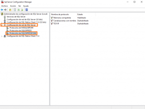 Microsoft SQL Server Database for Primavera P6 8 STEPS