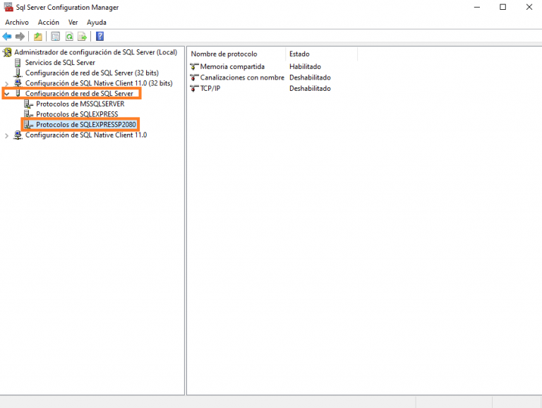 Microsoft SQL Server Database for Primavera P6 8 STEPS