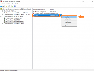 Microsoft SQL Server Database for Primavera P6 8 STEPS