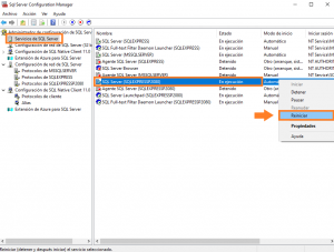 Microsoft SQL Server Database para Primavera P6 8 PASOS
